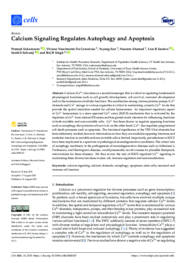 (PDF) Calcium Signaling Regulates Autophagy and Apoptosis
