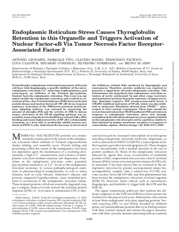 (PDF) Endoplasmic Reticulum Stress Causes Thyroglobulin Retention in ...