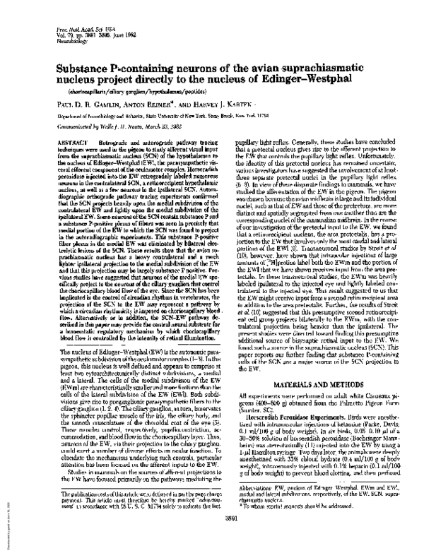 (PDF) Substance P-containing neurons of the avian suprachiasmatic ...