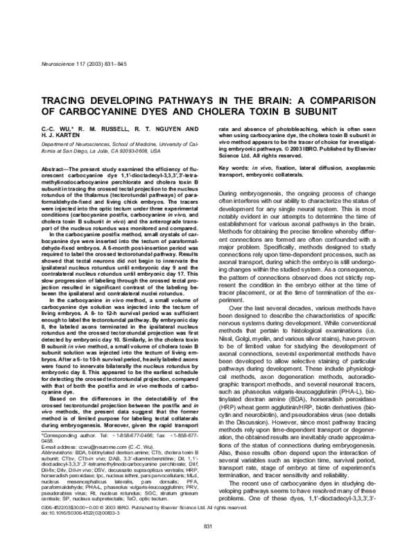 (PDF) Tracing developing pathways in the brain: a comparison of ...