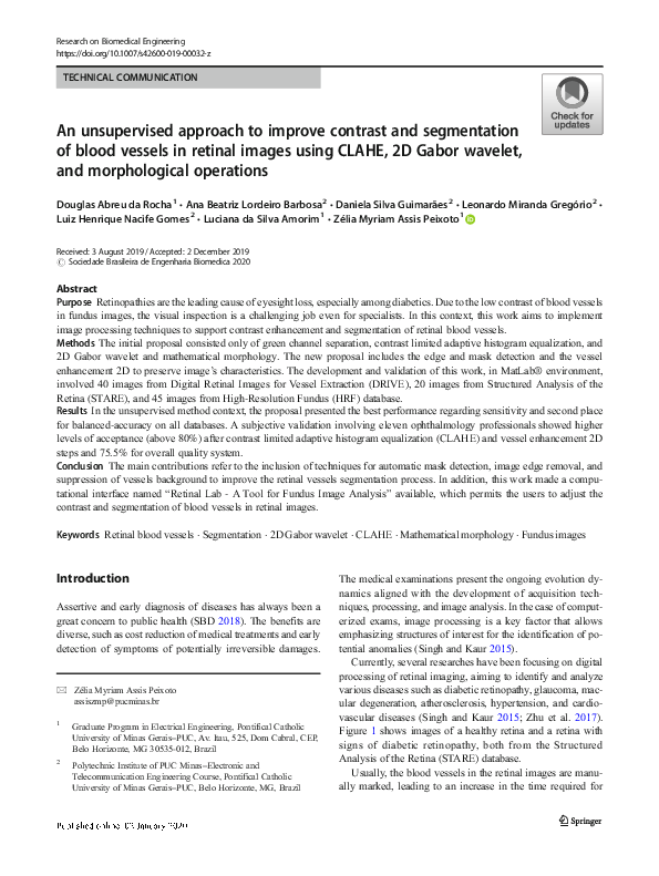 (PDF) An unsupervised approach to improve contrast and segmentation of blood vessels in retinal ...