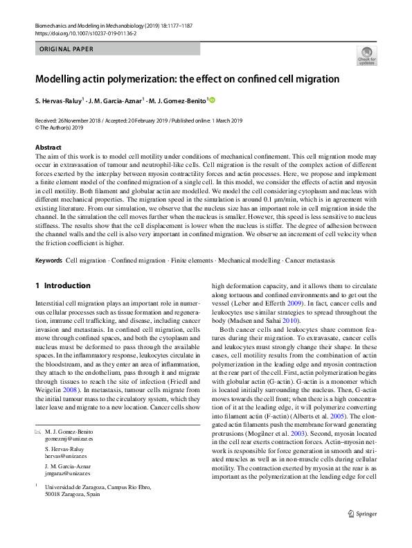 (PDF) Modelling actin polymerization: the effect on confined cell migration