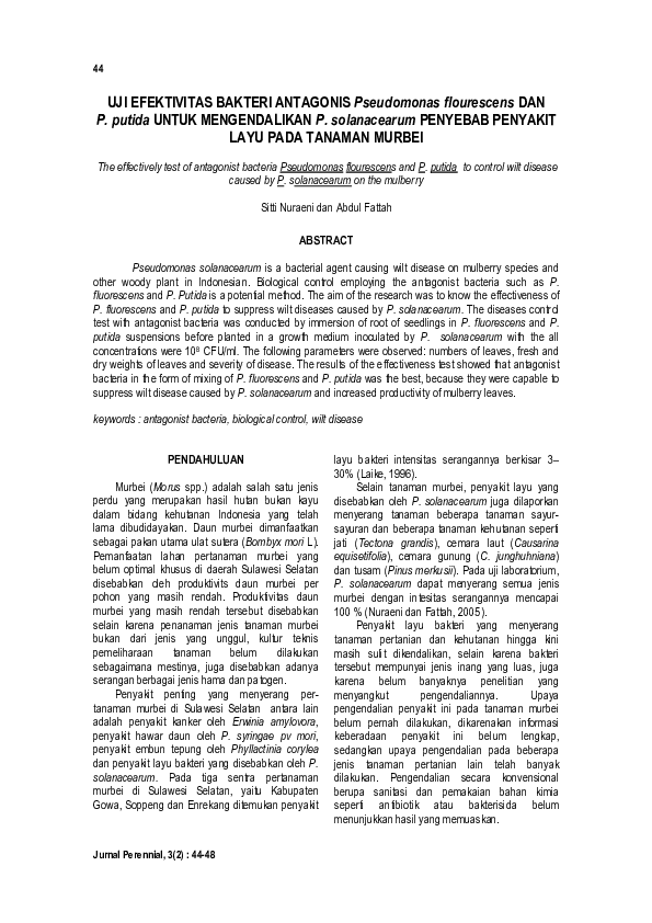 (PDF) UJI EFEKTIVITAS BAKTERI ANTAGONIS Pseudomonas flourescens DAN P ...