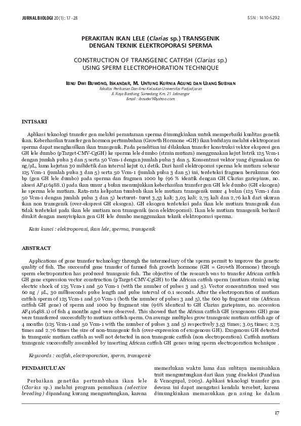 (PDF) PERAKITAN IKAN LELE (Clarias sp.) TRANSGENIK DENGAN TEKNIK ...