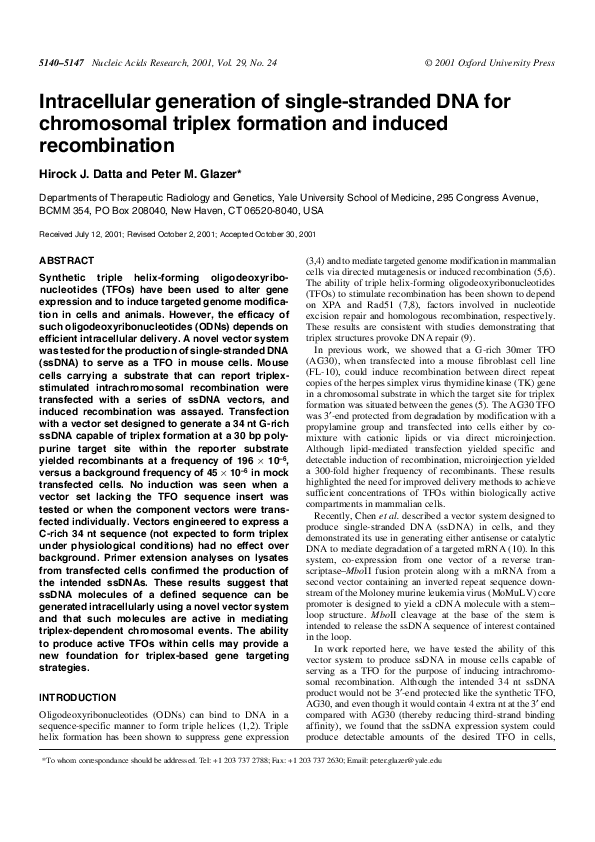 (PDF) Intracellular generation of single-stranded DNA for chromosomal ...