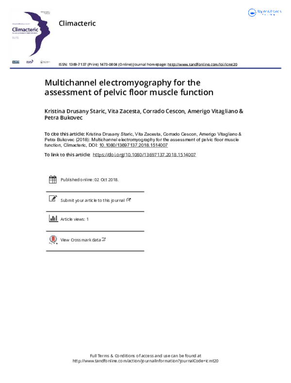 (PDF) Multichannel electromyography for the assessment of pelvic floor ...