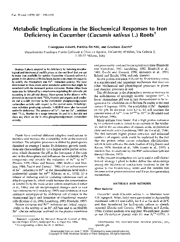 (PDF) Metabolic Implications in the Biochemical Responses to Iron ...