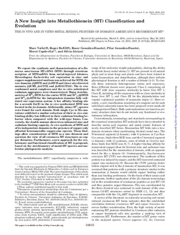 (PDF) A New Insight into Metallothionein (MT) Classification and Evolution