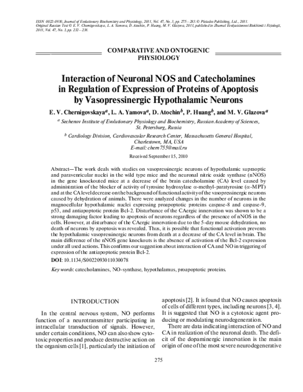 (PDF) Interaction of neuronal NOS and catecholamines in regulation of ...