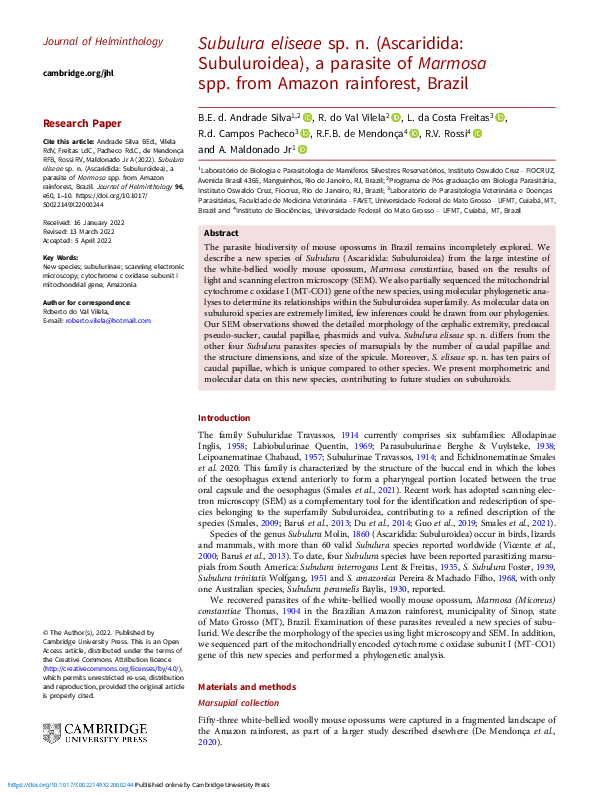 (PDF) Subulura eliseae sp. n. (Ascaridida: Subuluroidea), a parasite of ...