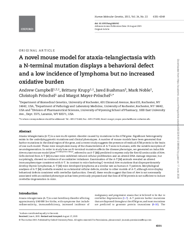 (PDF) A novel mouse model for ataxia-telangiectasia with a N-terminal mutation displays a ...