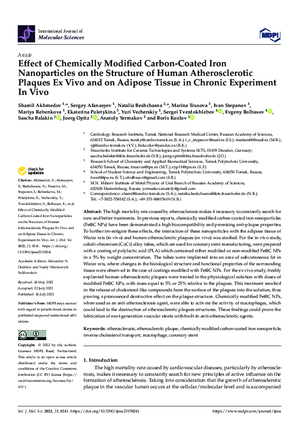 (PDF) Effect of Chemically Modified Carbon-Coated Iron Nanoparticles on ...