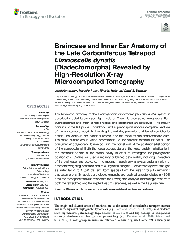 (PDF) Braincase and Inner Ear Anatomy of the Late Carboniferous ...