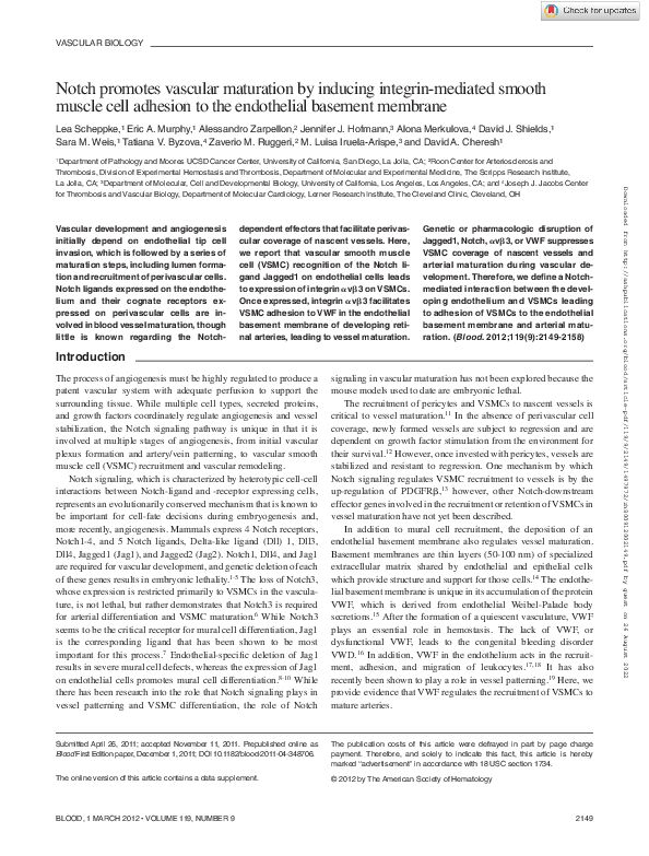(PDF) Notch promotes vascular maturation by inducing integrin-mediated ...