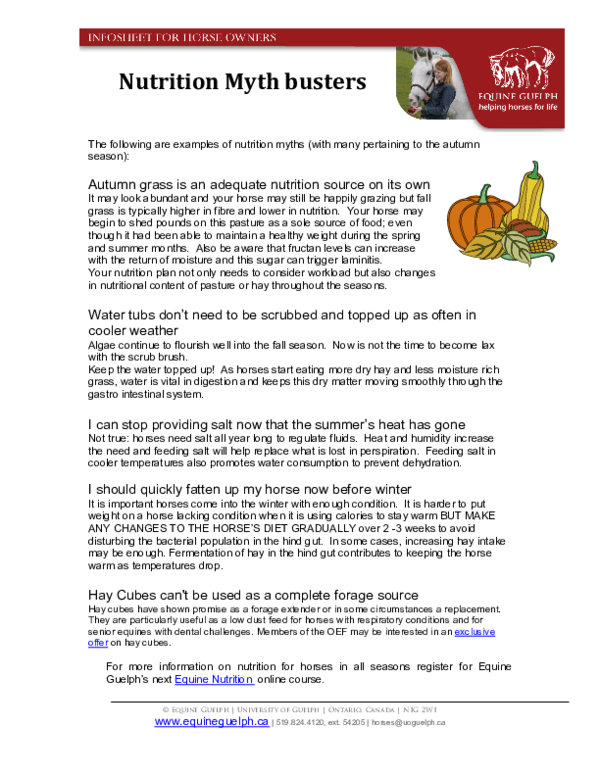 (PDF) Nutrition Myth Busters