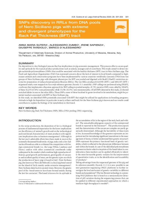 (PDF) The SNPs discovery in RRLs from DNA pools of Nero Siciliano pigs with extreme and ...
