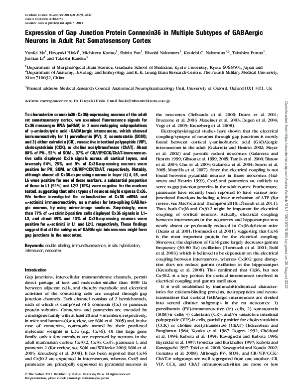 (PDF) Expression of Gap Junction Protein Connexin36 in Multiple ...