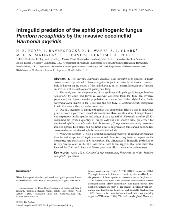 Pdf Intraguild Predation Of The Aphid Pathogenic Fungus Pandora Neoaphidis By The Invasive