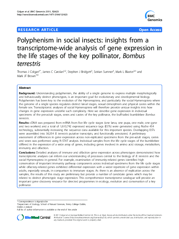 (PDF) Polyphenism in social insects: insights from a transcriptome-wide ...