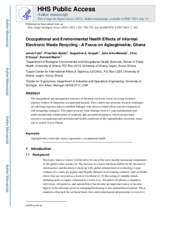 (PDF) Occupational and Environmental Health Effects of Informal ...