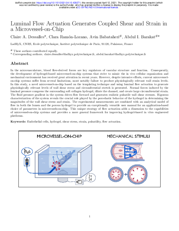 (PDF) Luminal Flow Actuation Generates Coupled Shear and Strain in a ...