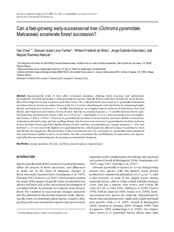 (PDF) Can a fast-growing early-successional tree (Ochroma pyramidale ...