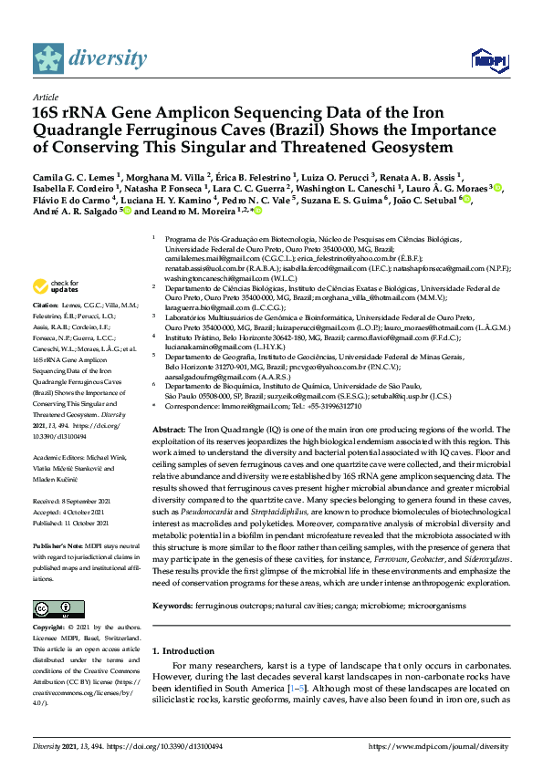 (PDF) 16S rRNA Gene Amplicon Sequencing Data of the Iron Quadrangle Ferruginous Caves (Brazil ...