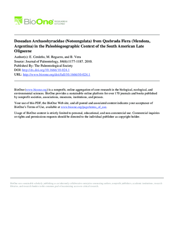 (PDF) Deseadan Archaeohyracidae (Notoungulata) from Quebrada Fiera ...