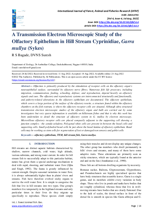 (PDF) A Transmission Electron Microscopic Study of the Olfactory ...