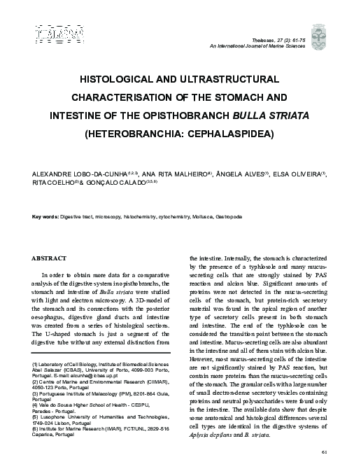 (PDF) Historical and ultrastructural characterisation of the stomach ...