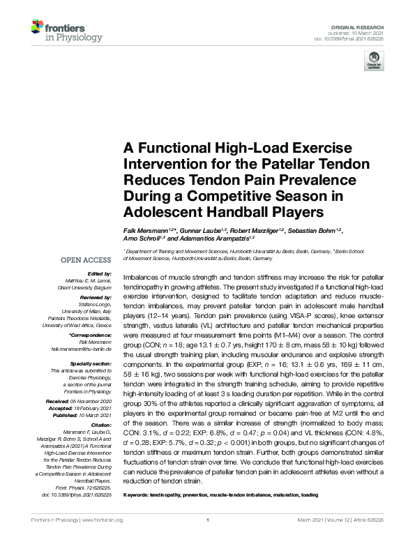 (PDF) A Functional High-Load Exercise Intervention for the Patellar ...