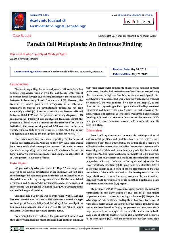 (PDF) Wendt’s constructivism