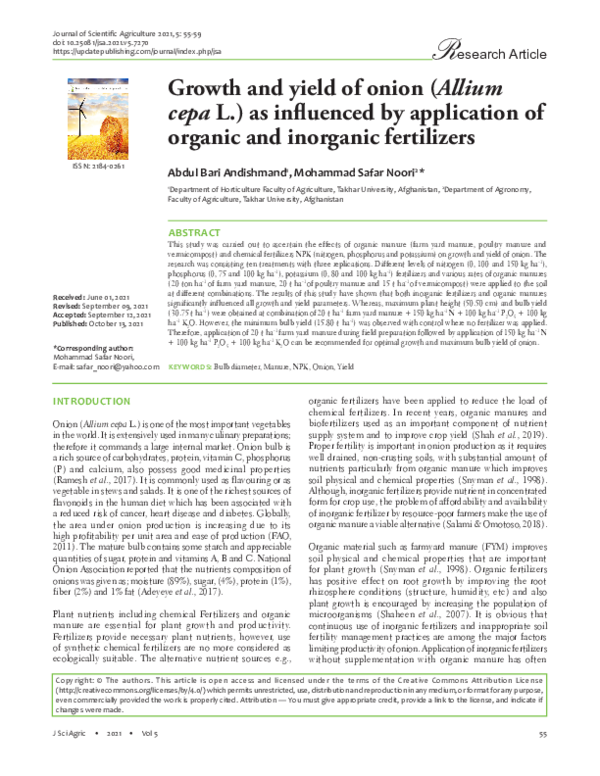 (PDF) Growth and yield of onion (Allium cepa L.) as influenced by ...
