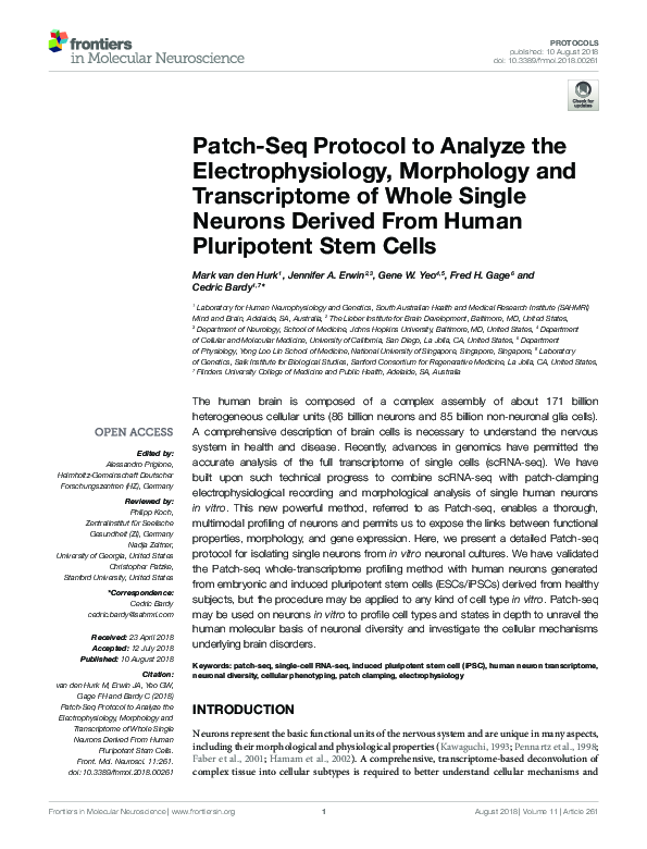 (PDF) Patch-Seq Protocol to Analyze the Electrophysiology, Morphology and Transcriptome of Whole ...