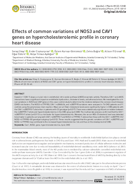 (PDF) Effects of common variations of NOS3 and CAV1 genes on hypercholesterolemic profile in ...