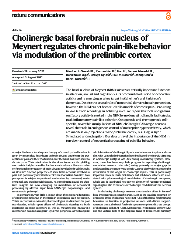 (PDF) Cholinergic basal forebrain nucleus of Meynert regulates chronic ...