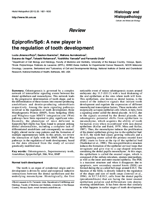 (PDF) Epiprofin/Sp6: a new player in the regulation of tooth development
