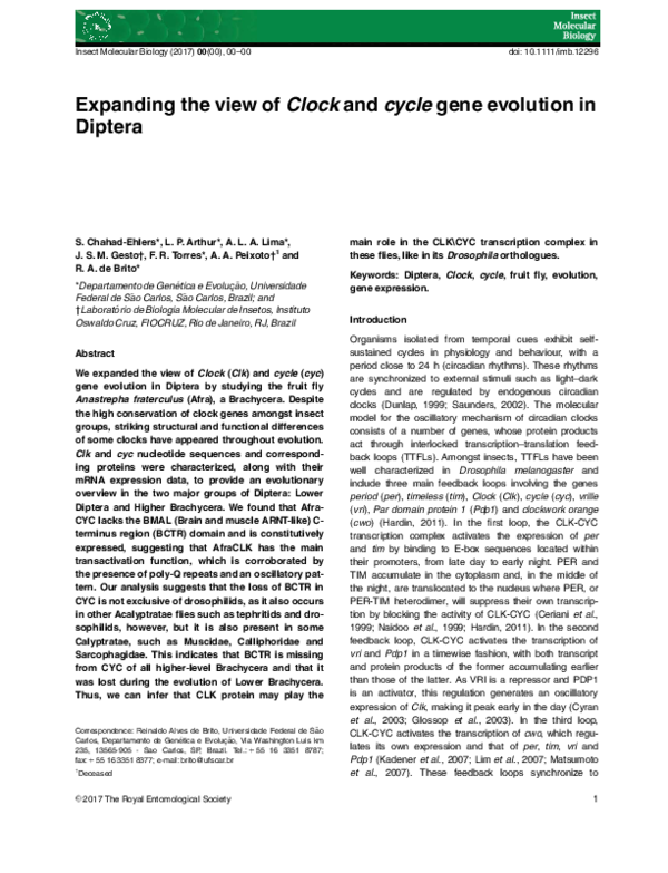 (PDF) Expanding the view of Clock and cycle gene evolution in Diptera