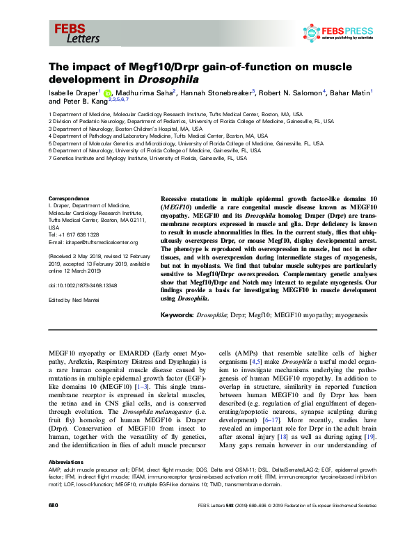 (PDF) The impact of Megf10/Drpr gain-of-function on muscle development ...