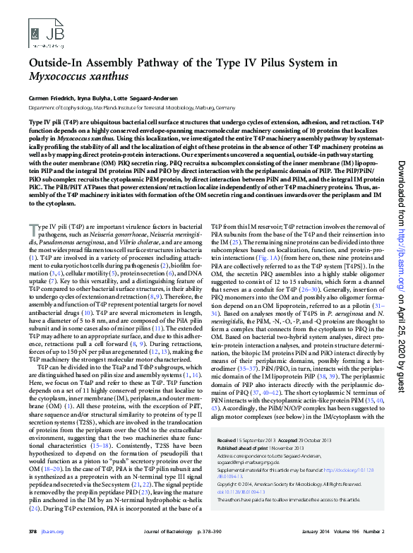 (PDF) Type IV Pilus Assembly Pathway in Myxococcus xanthus