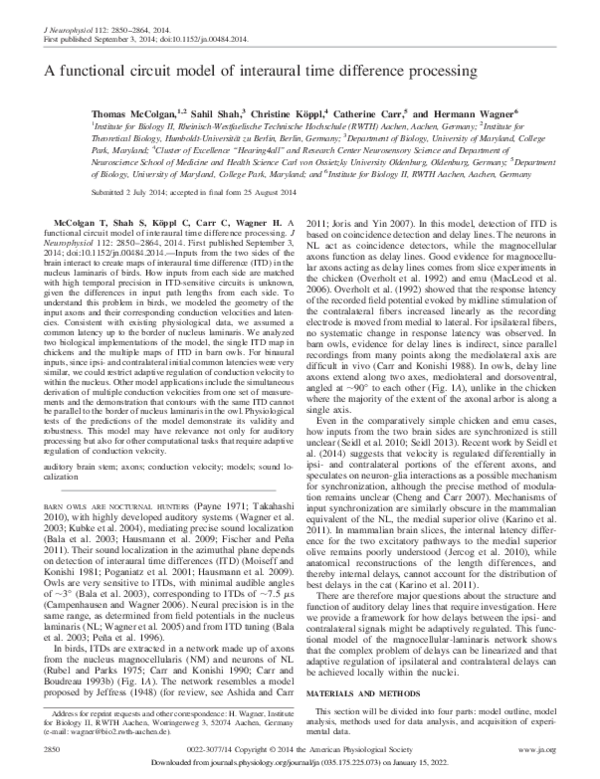 Pdf A Functional Circuit Model Of Interaural Time Difference Processing