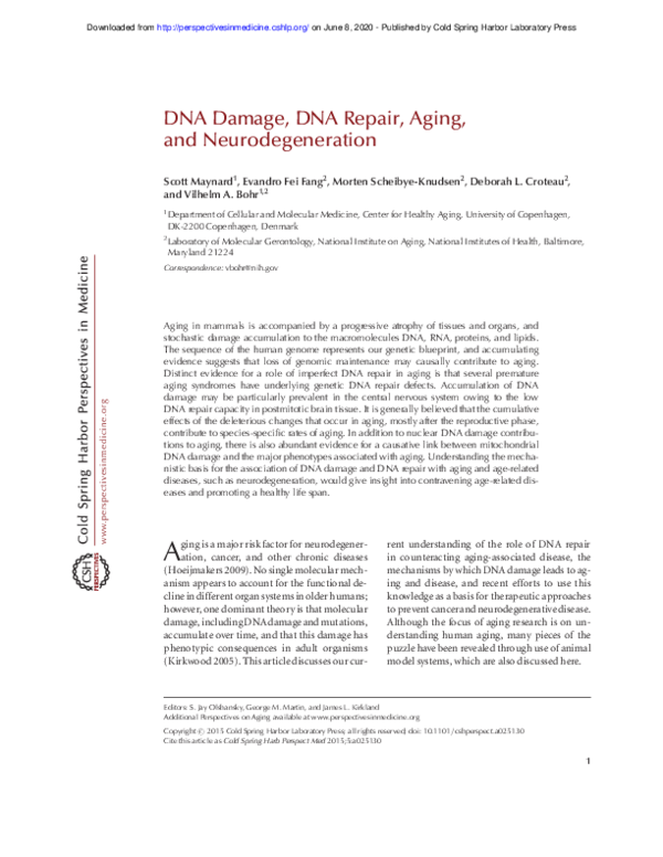 (PDF) DNA Damage, DNA Repair, Aging, and Neurodegeneration