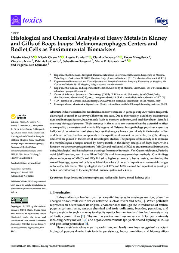 (PDF) Histological and Chemical Analysis of Heavy Metals in Kidney and ...