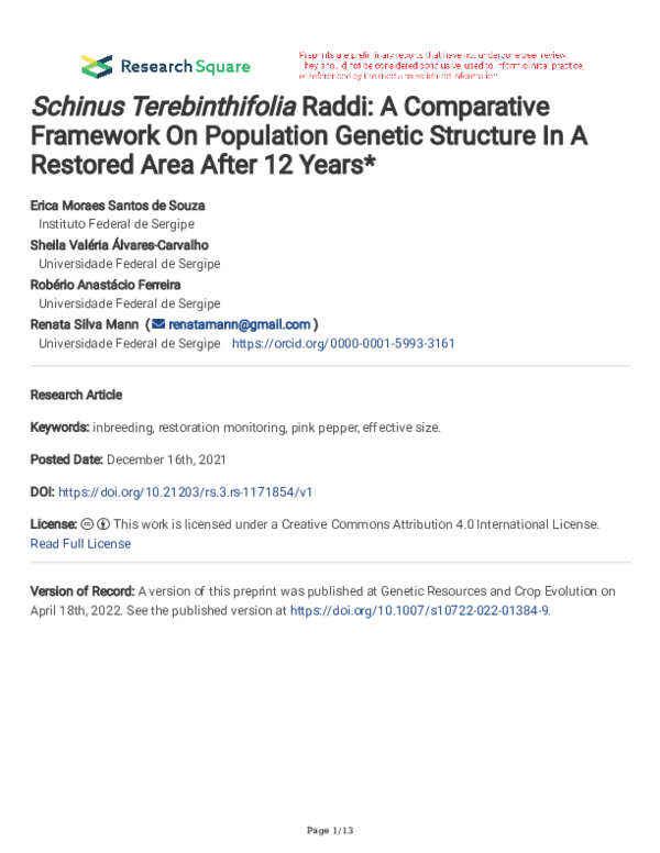 (PDF) Schinus terebinthifolia Raddi: a comparative framework on ...