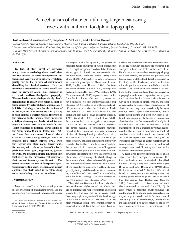 (PDF) A mechanism of chute cutoff along large meandering rivers with ...