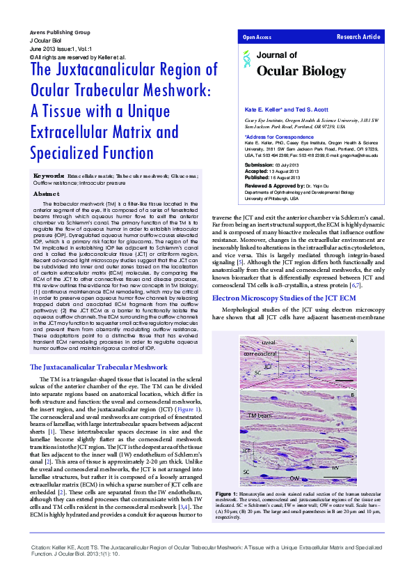 (PDF) The Juxtacanalicular Region of Ocular Trabecular Meshwork: A ...