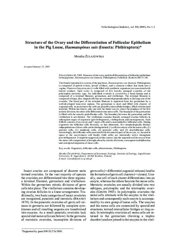 (PDF) Structure of the ovary and the differentiation of follicular ...