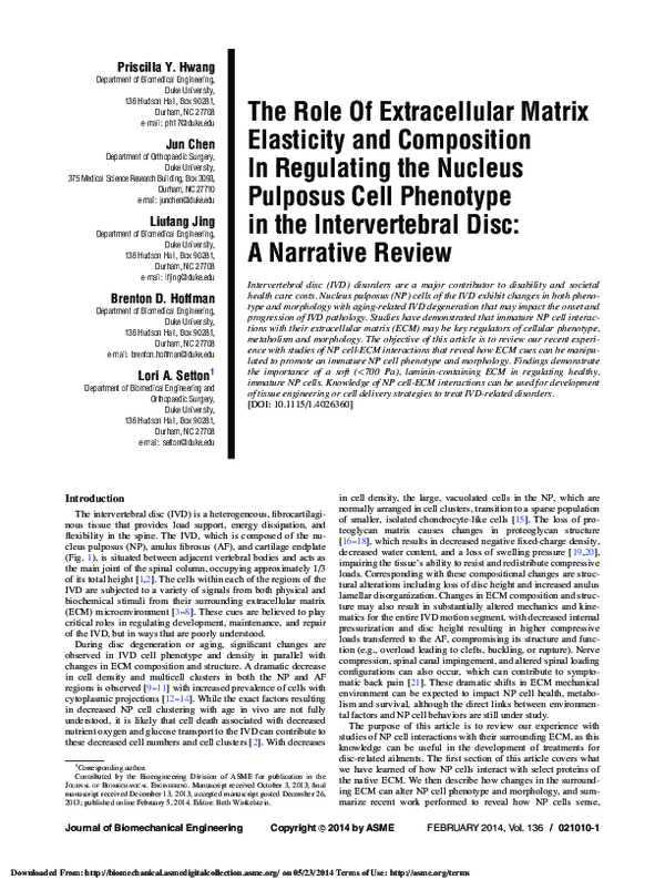 (PDF) The Role Of Extracellular Matrix Elasticity and Composition In ...