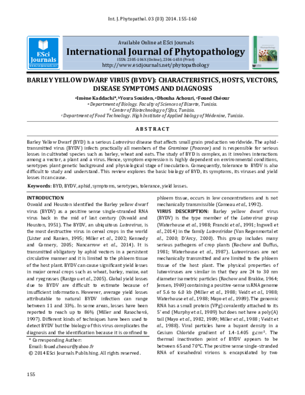 (PDF) Barley Yellow Dwarf Virus (BYDV): Characteristics, Hosts, Vectors ...