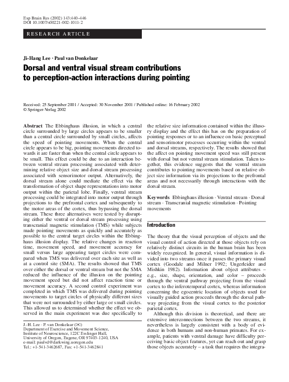 (PDF) Dorsal and ventral visual stream contributions to perception ...
